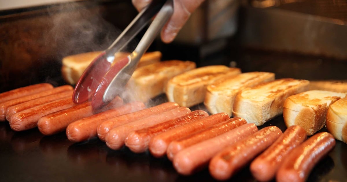 Food Truck - Haute Dogs - Gourmet Hot Dog Concept