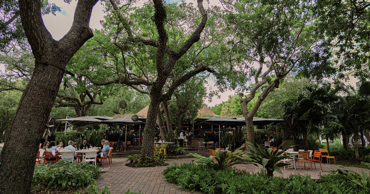 Coconut Grove Restaurant | Outdoor, Kid & Dog Friendly | Glass & Vine