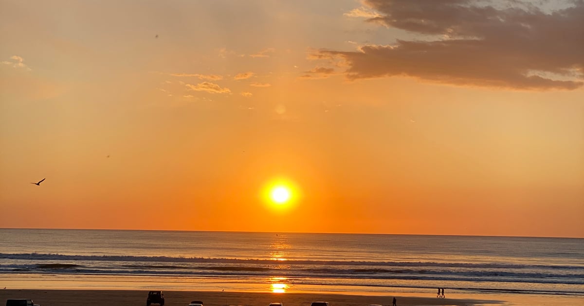 Fun At Fin's - Fin's Seafood Bar & Grill in Grover Beach, CA