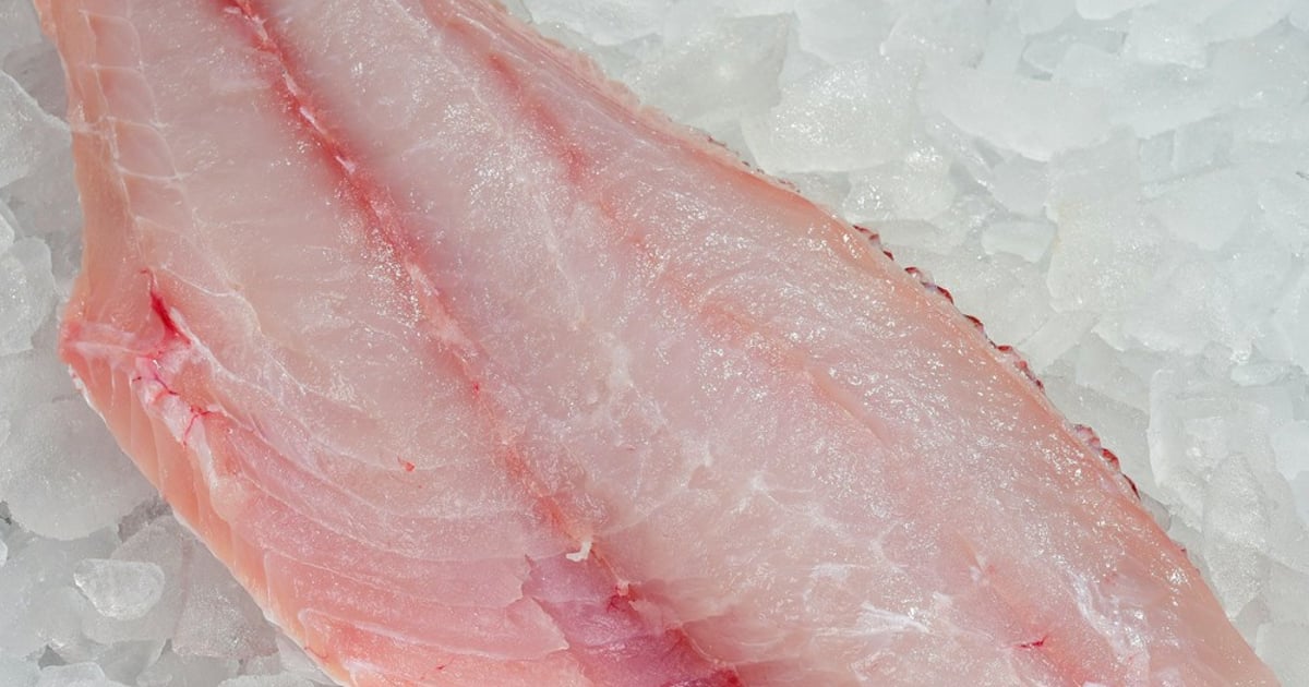 Red Snapper Filets $15.99 lb. - Skip's Meat Market - Butcher shop in ...
