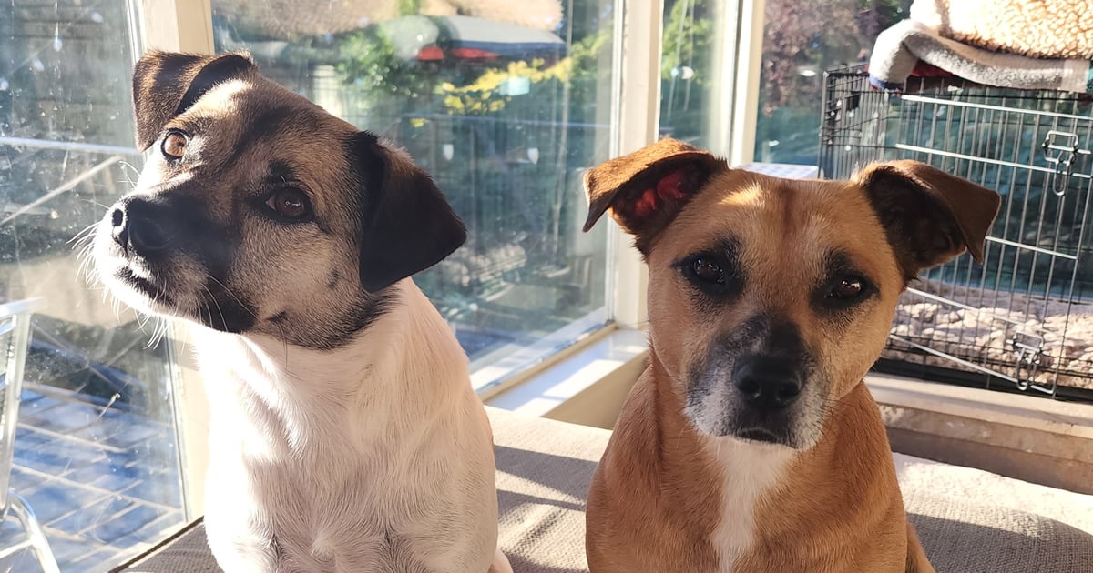 FAQs - Berliner Pub - German Restaurant in Renton, WA