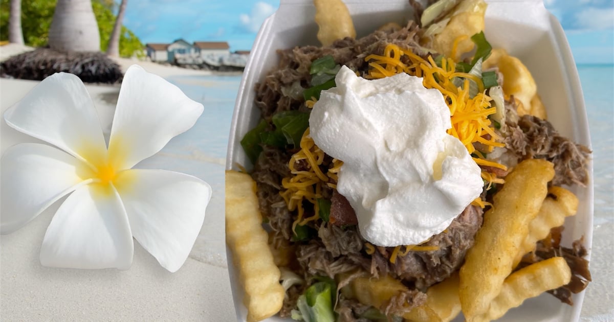 Loaded Hawaiian Pulled Pork Fries - L&L Hawaiian Barbecue - Hawaiian ...
