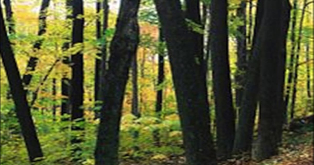 October Dinner Menus - Bascom Lodge - American Restaurant in Adams, MA