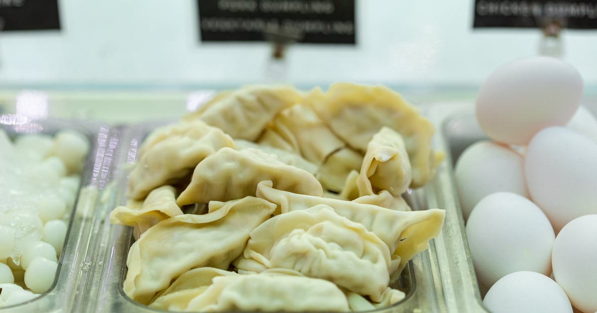 10. Chicken Dumplings - Shabu Zone - Buffet Restaurant in Houston, TX