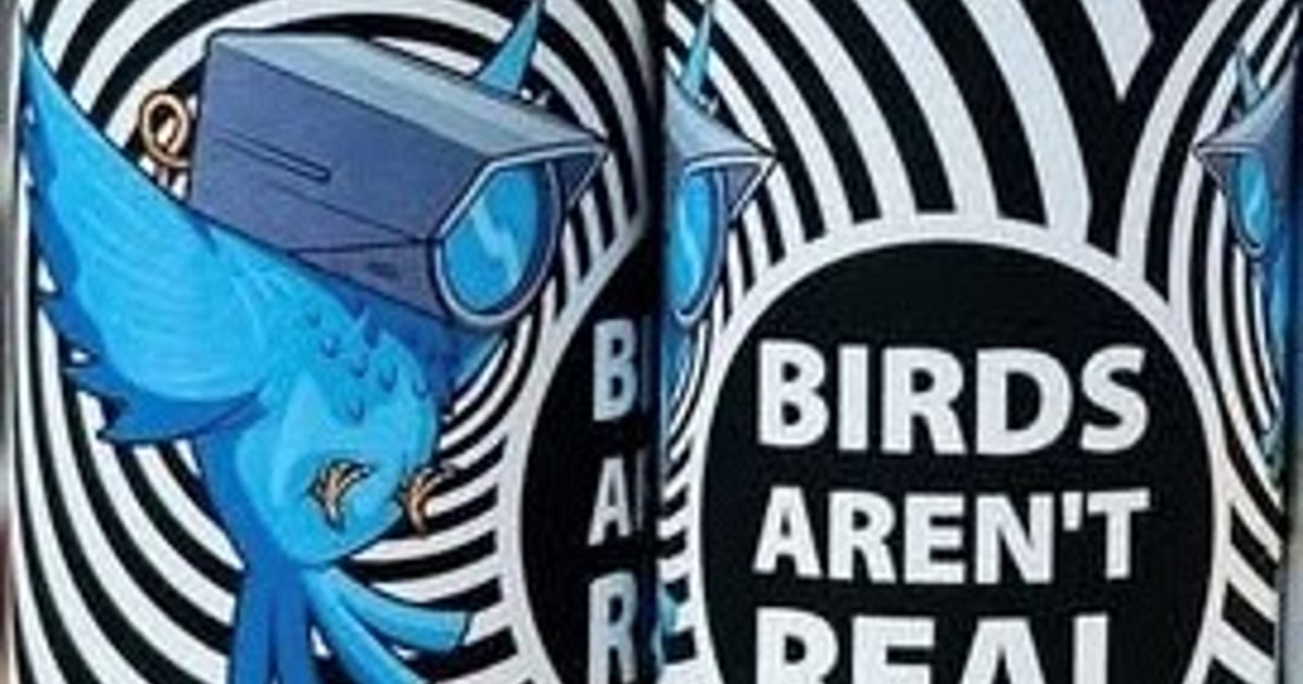 Birds Aren't Real 4 Pack (16oz Cans) - Jukes Ale Works - Brewpub in ...