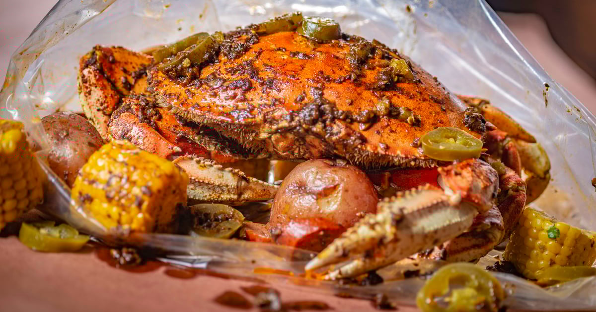 Thomas And The Stinky Cheese Cgi | ppgbbe.intranet.biologia.ufrj.br