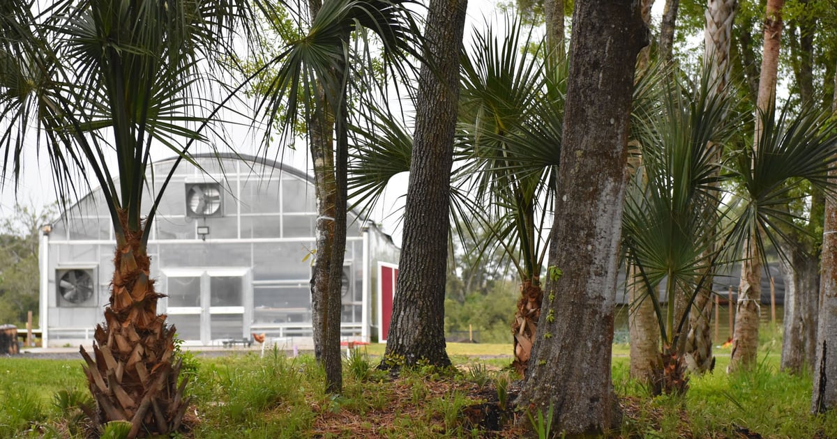 Sustainable Initiatives - Fat Beet Farm Kitchen and Bakery - Cafe in ...