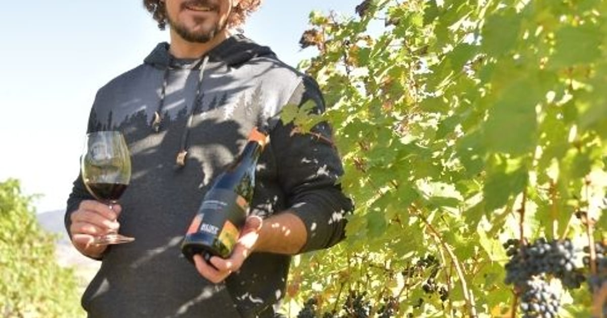 Syrah 2020 Rust Wine Co. - Drinks - Cuchillo