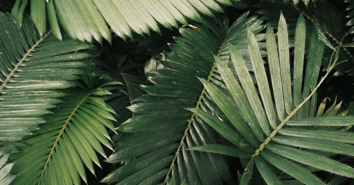 Blogs - Tulah Wellness