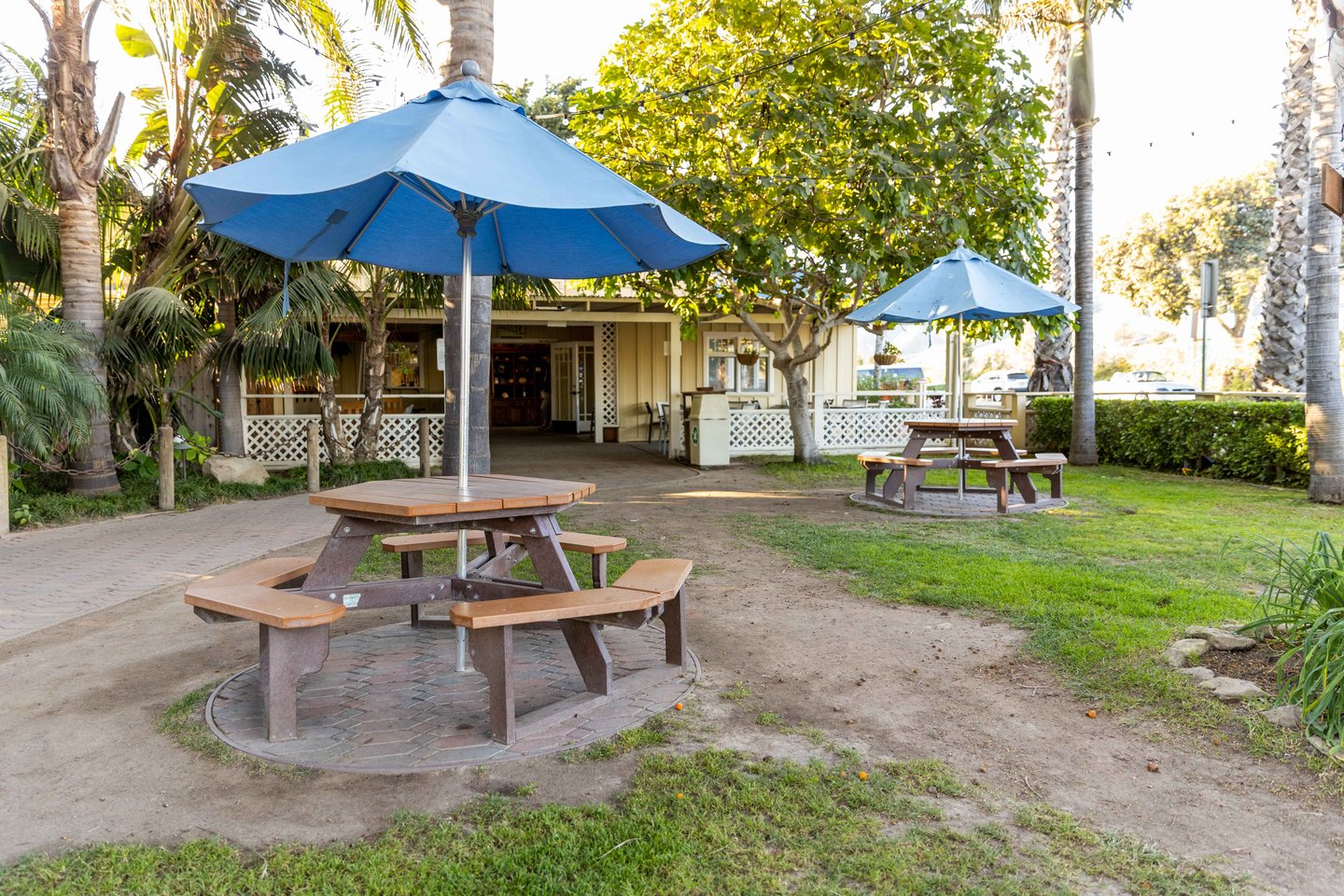 Contact - Padaro Beach Grill - Restaurant in Carpinteria, CA
