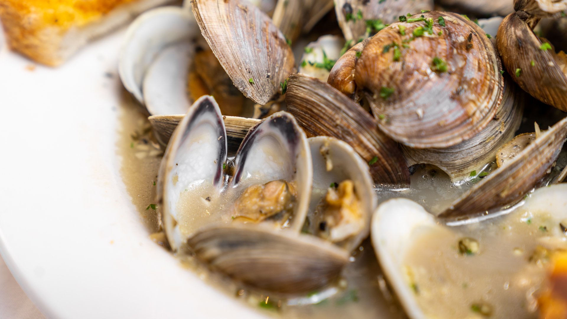 Steamed Clams, 54% OFF | instrumentation.kmitl.ac.th