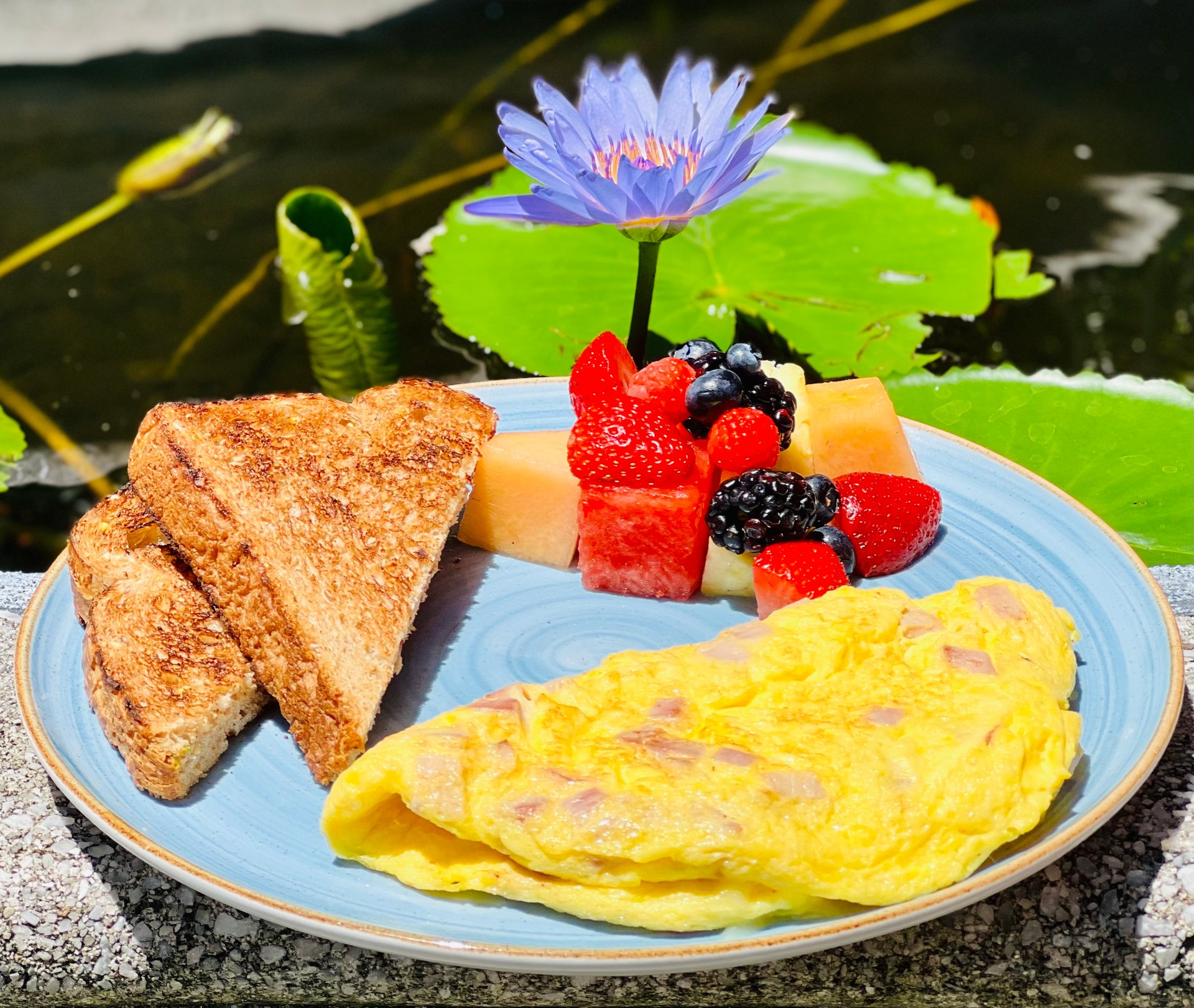 American Omelette New Breakfast Deal Starting At $4.99 Promises