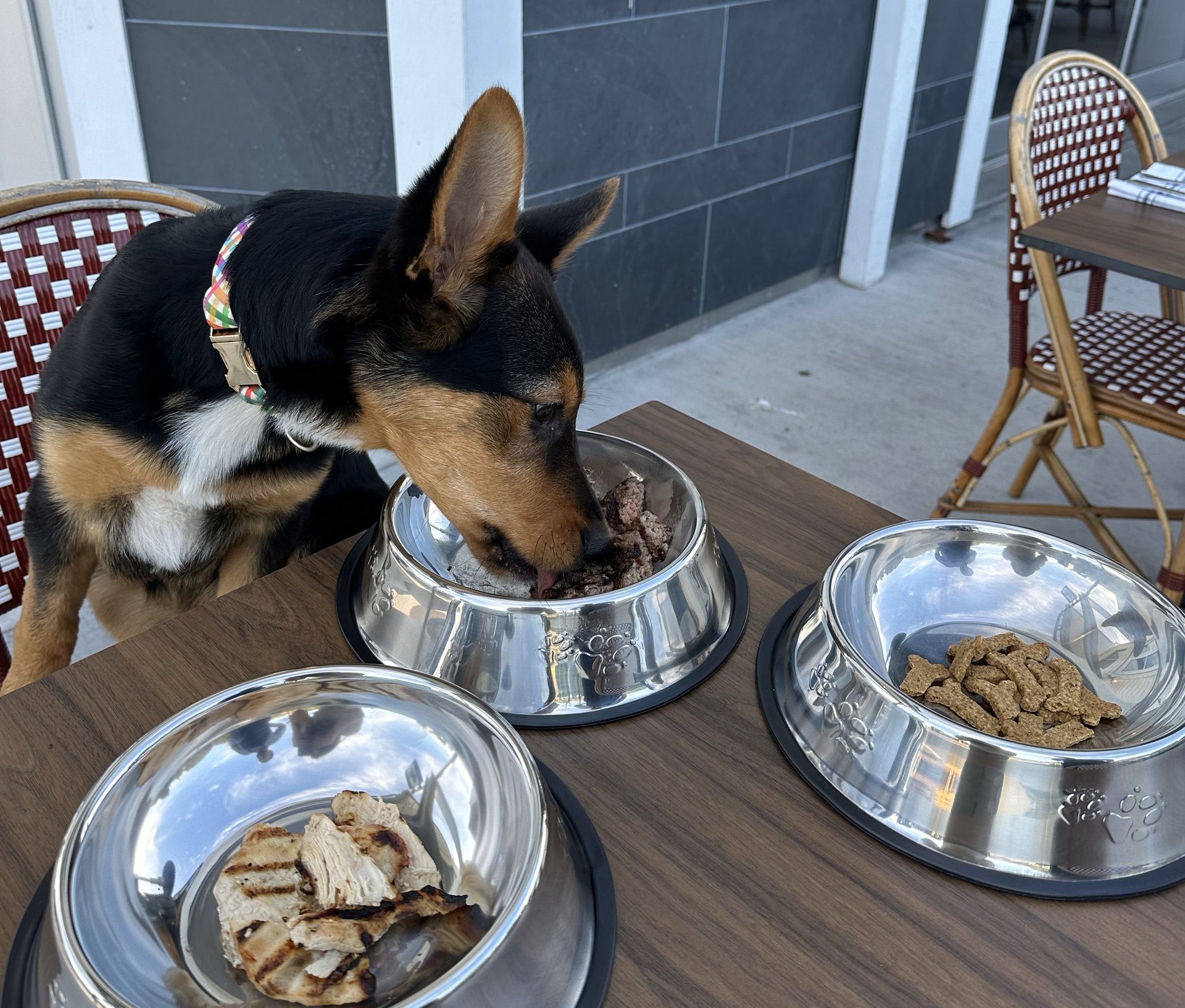 Introducing Our Chou Chou Doggy Menu! - Petite Left Bank - Tiburon ...