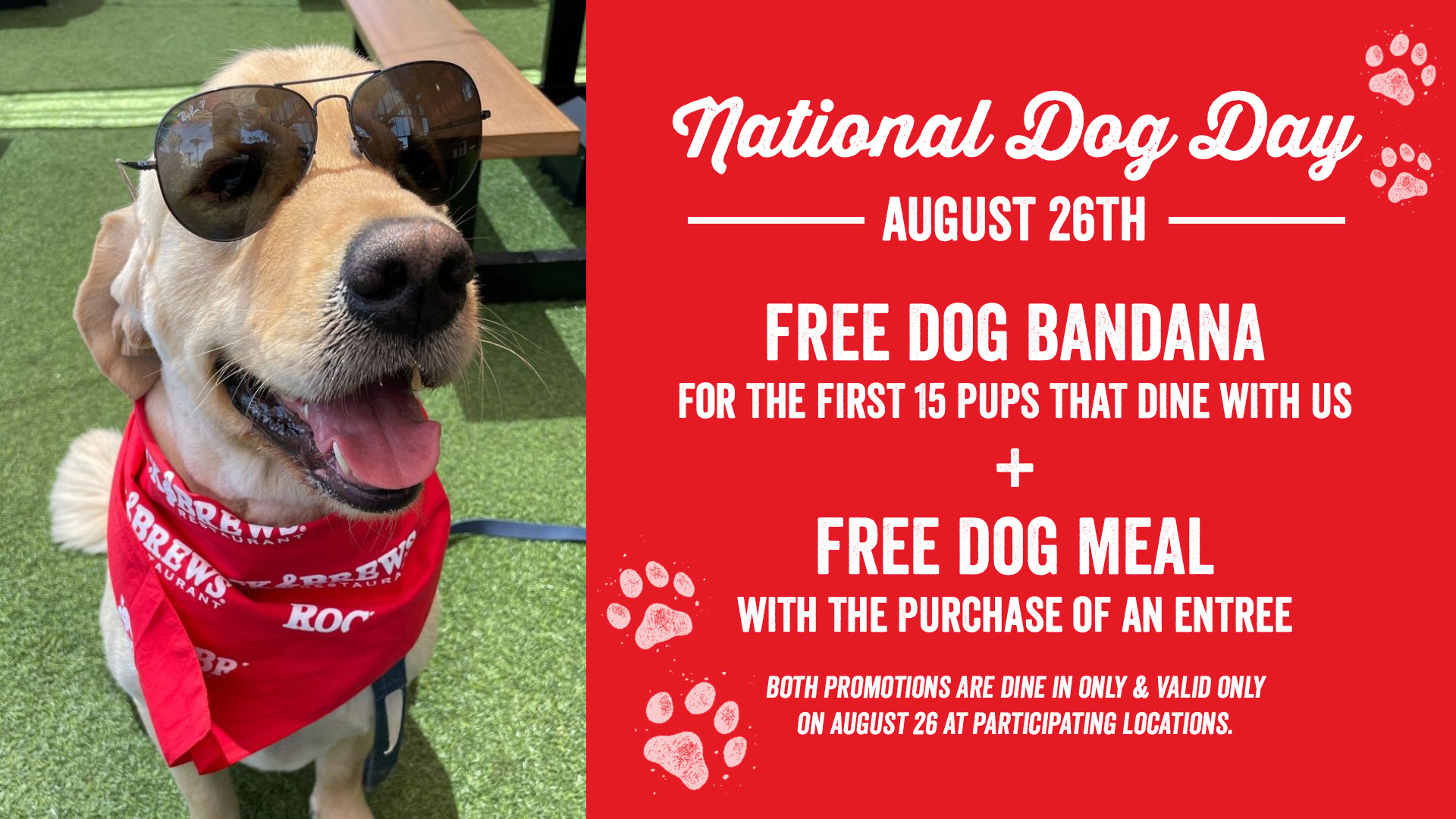 National Dog Day - American Food & Live Music Restaurant | Rock & Brews