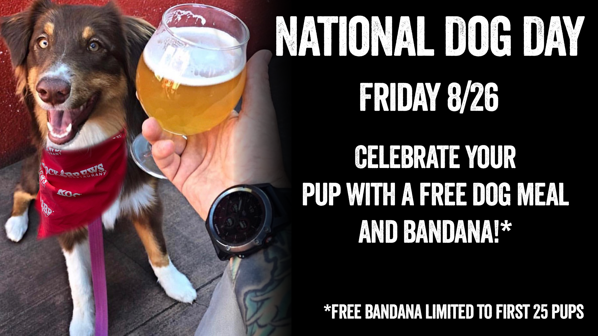 National Dog Day - American Food & Live Music Restaurant | Rock & Brews
