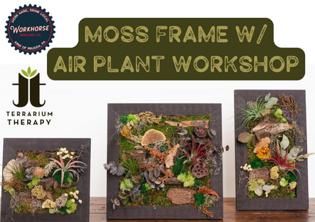 Terrarium Therapy - Moss Frame with Air Plant Workshop - Workhorse ...