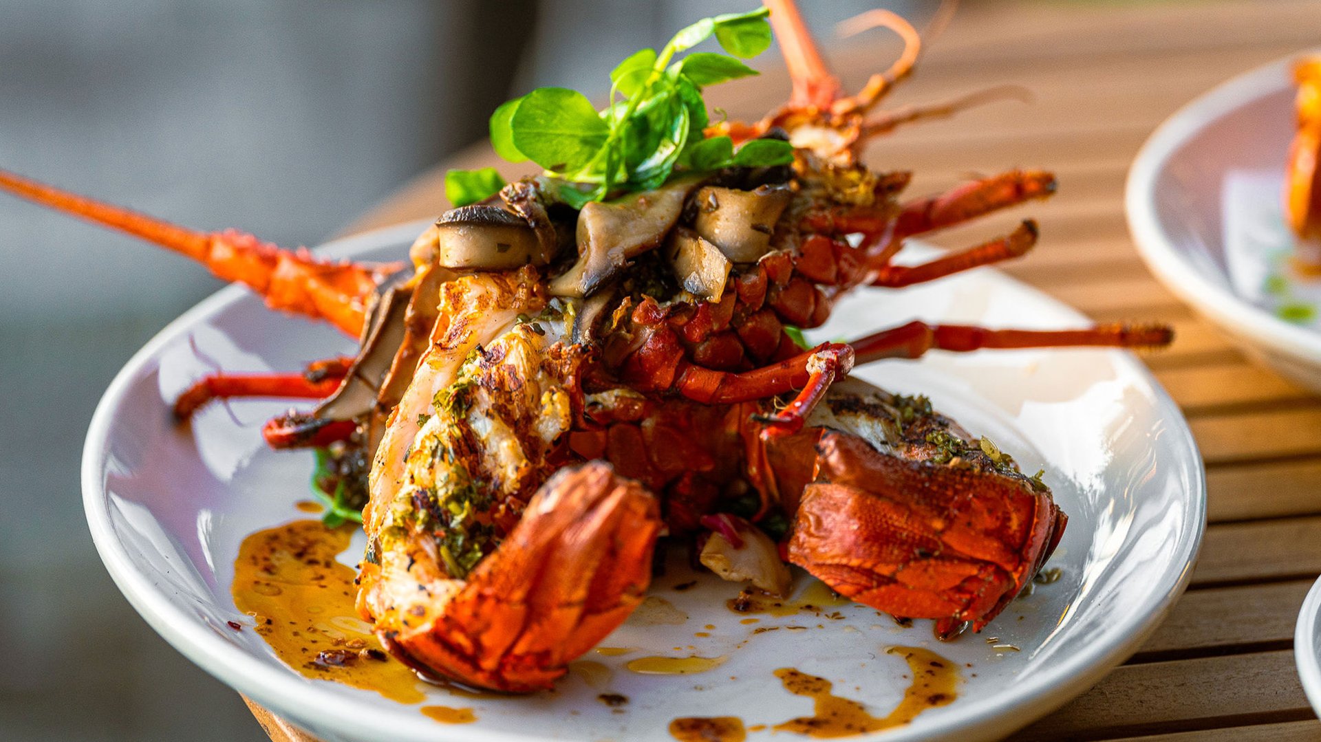 Lobster Season - Salt Creek Grille OC - American Restaurant in CA