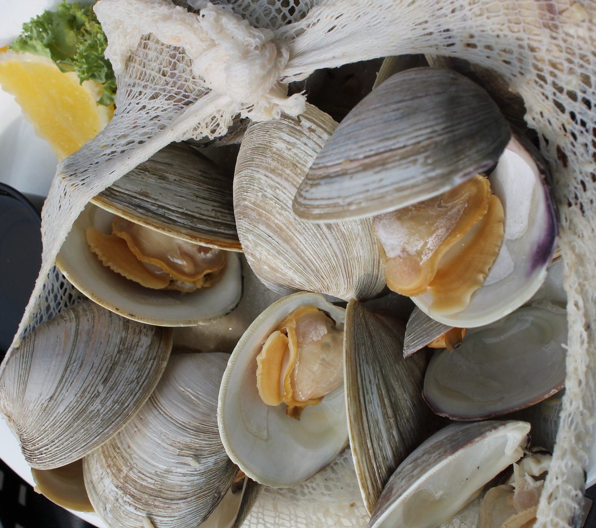 Clambake Weekend #8-Final Weekend - Winking Lizard Tavern