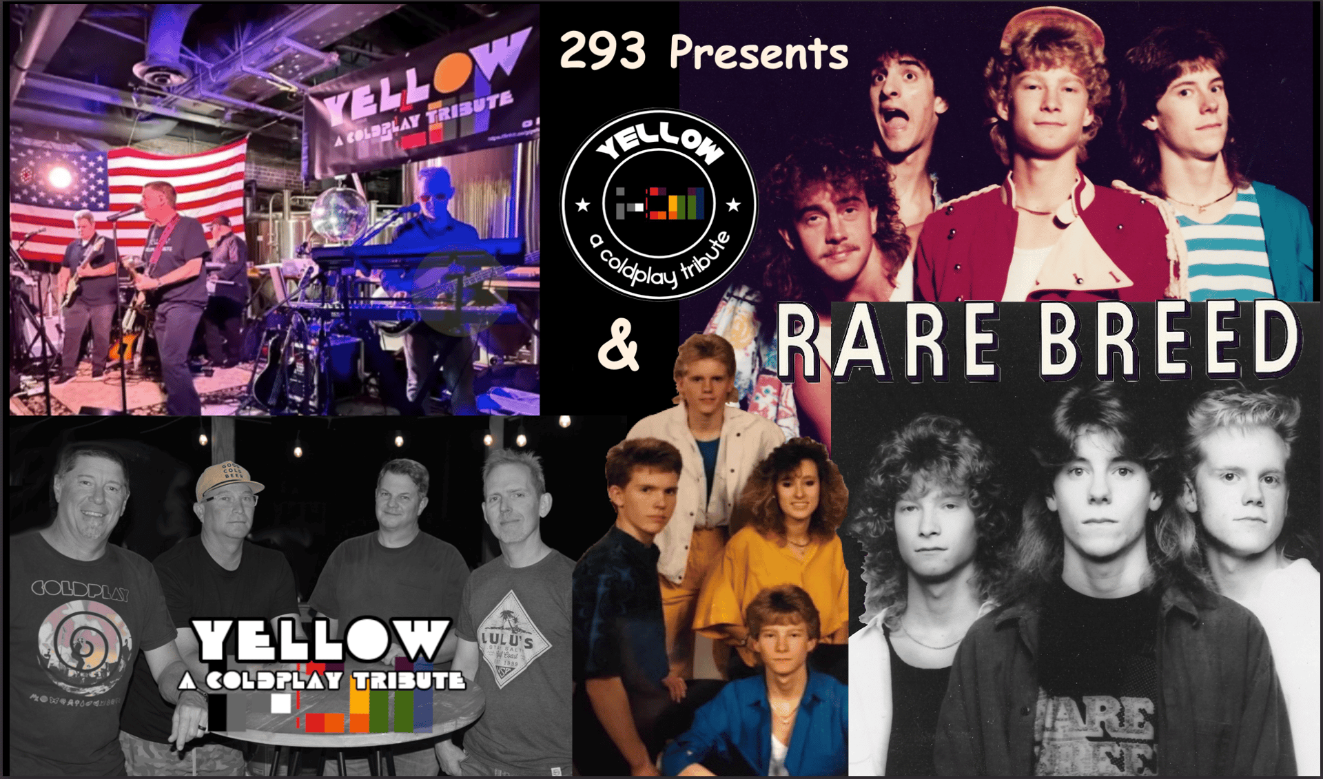 Yellow and Rare Breed - Sixes Tavern - Tavern in Cartersville, GA