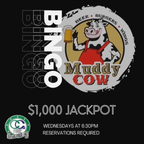 Bingo Night - Muddy Cow