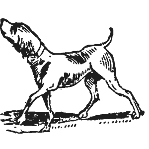 NEED TO KNOW - Bird Dog - Southern Restaurant in NY