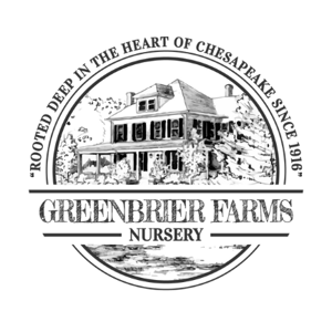 Wedding Gallery Potter - Historic Greenbrier Farms