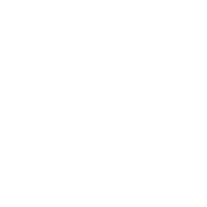 Mister Oso - Taco Restaurant in Denver and New Orleans