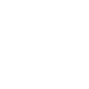 Blue Agave Chicago - Mexican Restaurant in IL