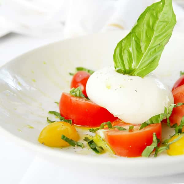 Menu - Terramia Ristorante - Italian Restaurant in Boston, MA