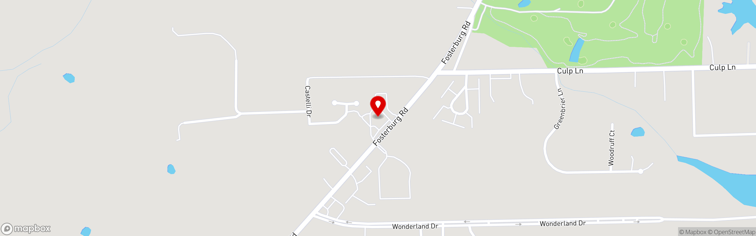 Visit Us - Castelli's Moonlight Restaurant at 255 - Restaurant in Alton, IL